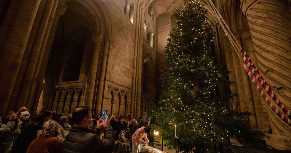 Local food charity light Durham Cathedral’s Christmas tree at festive ...